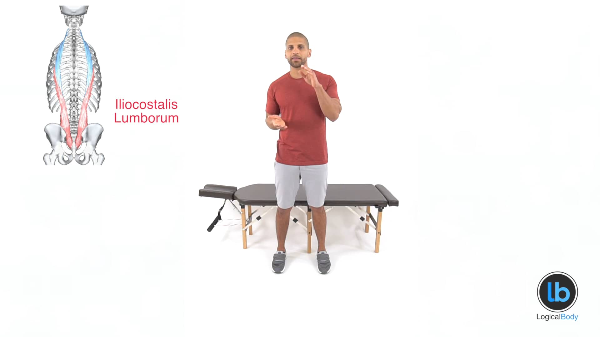 Standing Low Back Stretch on Vimeo