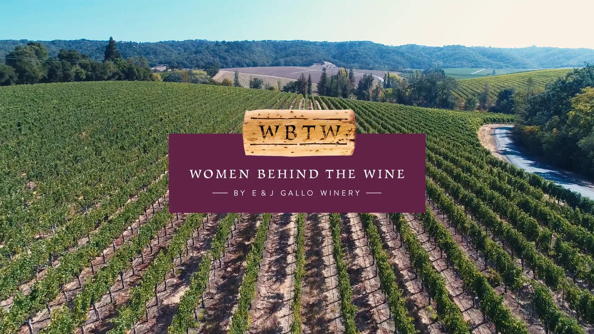 Women Behind the Wine | Saman Parsa on Vimeo