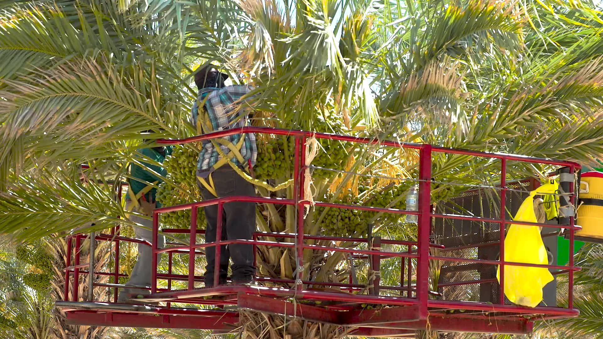 Migrant Seasonal Farmworkers Program (English) on Vimeo