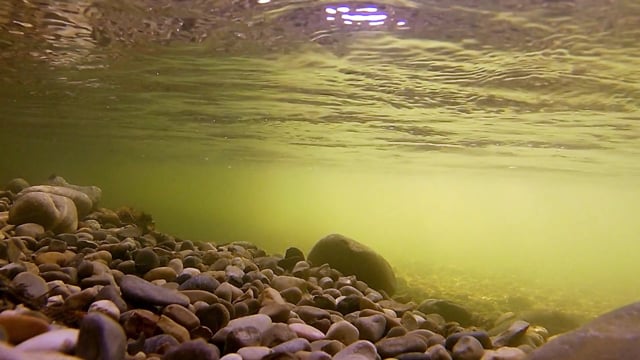 Underwater, Water, Clear. Free Stock Video - Pixabay