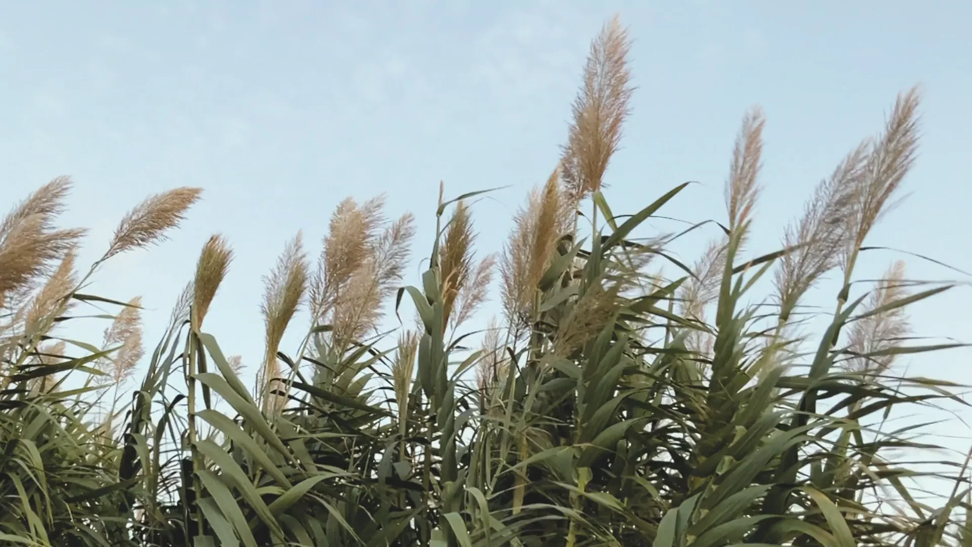 Ghosts on Vimeo