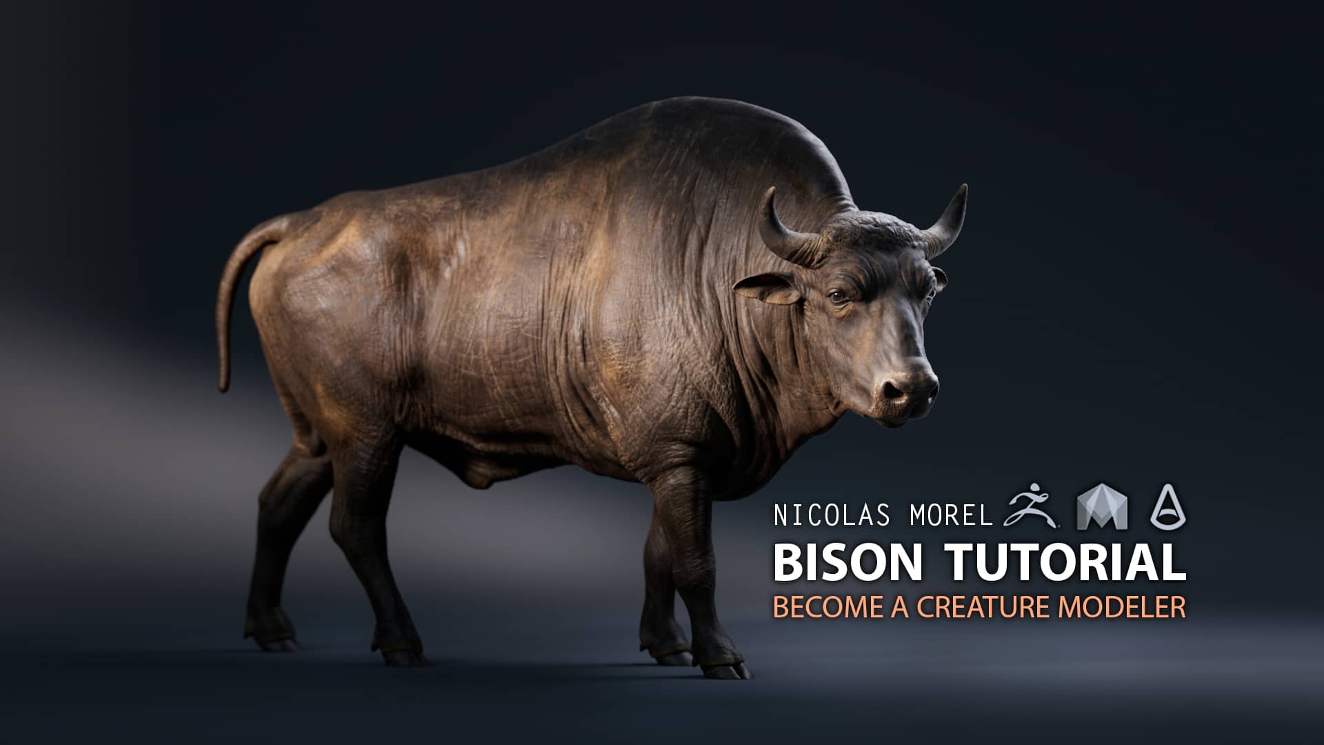 Nicolas MOREL - Bison Tutorial on Vimeo