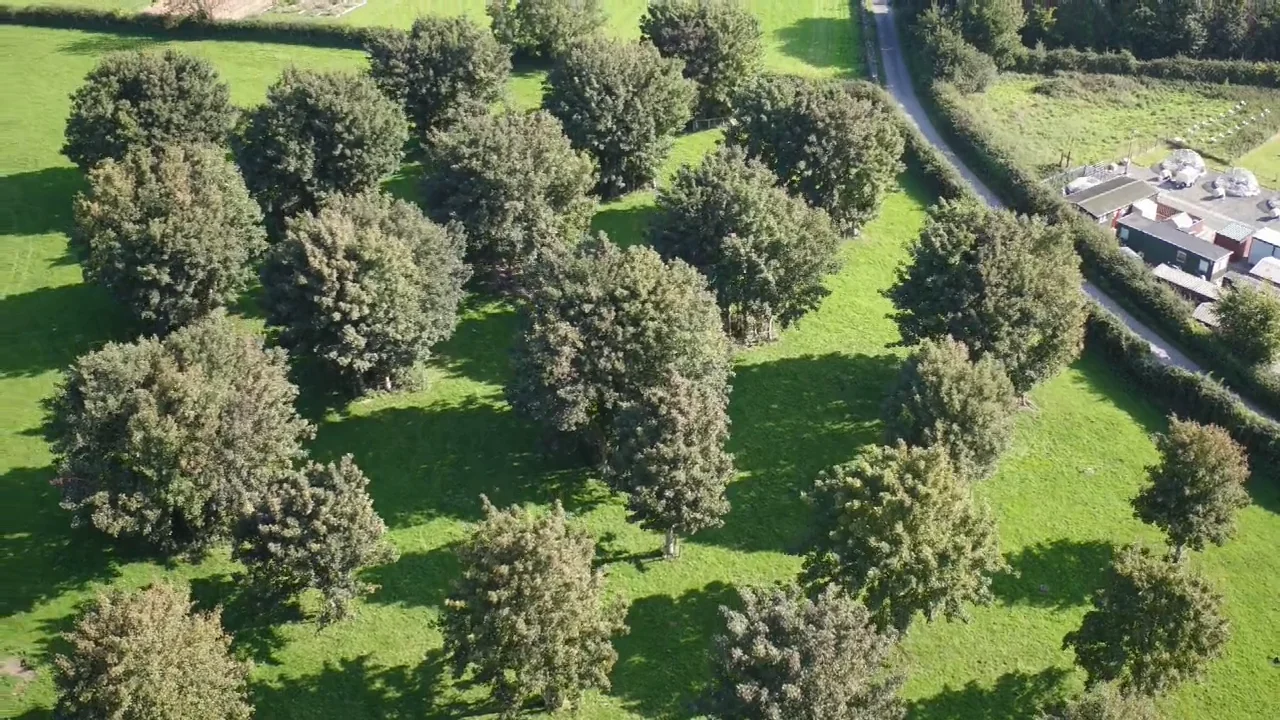 Part 2 Catena Sequence