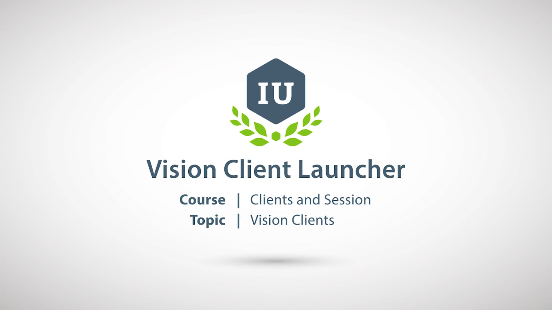 Vision Client Launcher_2020_10