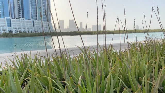 Mar Praia Panorama Beira - Free video on Pixabay - Pixabay