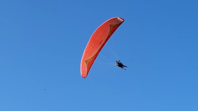 20+ Free Paragliding & Sport Videos, HD & 4K Clips - Pixabay