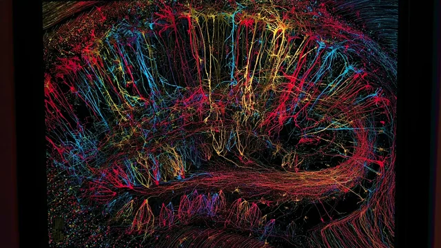 Brainbow Hippocampus