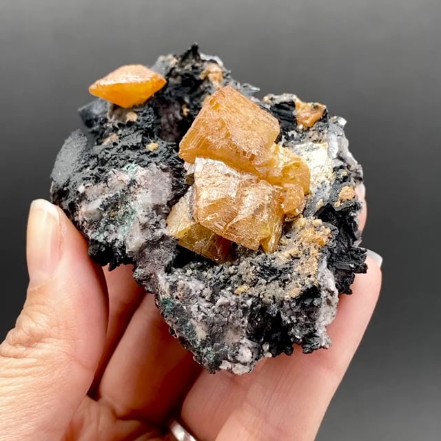 Wulfenite - FLYNNC-21 - Tsumeb Mine - Namibia Mineral Specimen