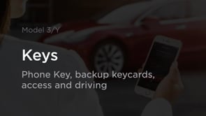 Meet Your Model Y | Tesla