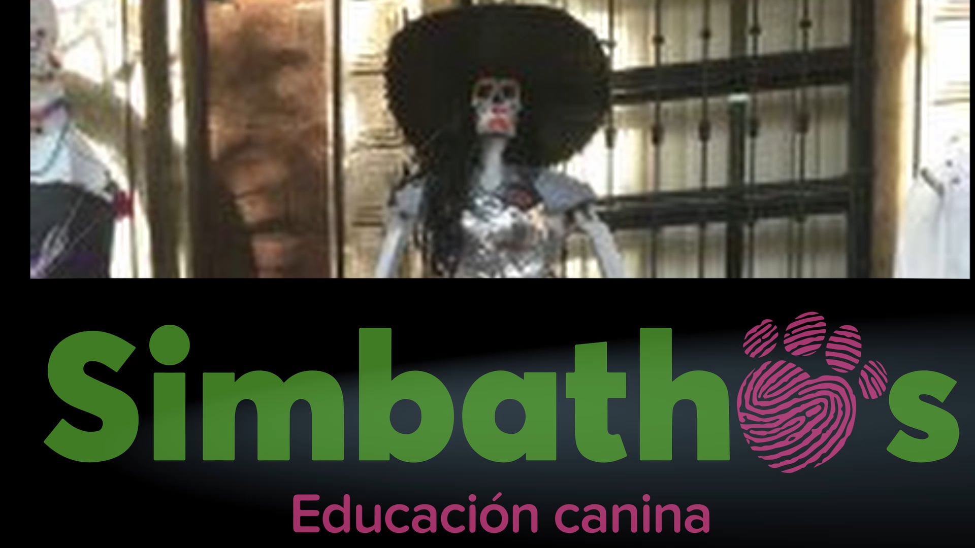 Curso de cachorros on Vimeo