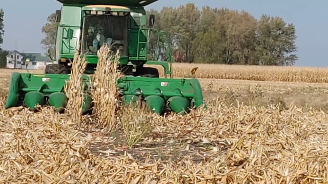 Combine, Corn, Harvest. Free Stock Video - Pixabay