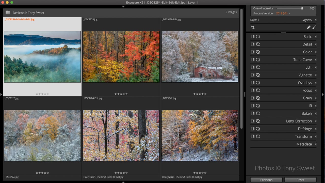 Exposure Editing - Adding Film Grain - Exposure by Alienskin Software ...