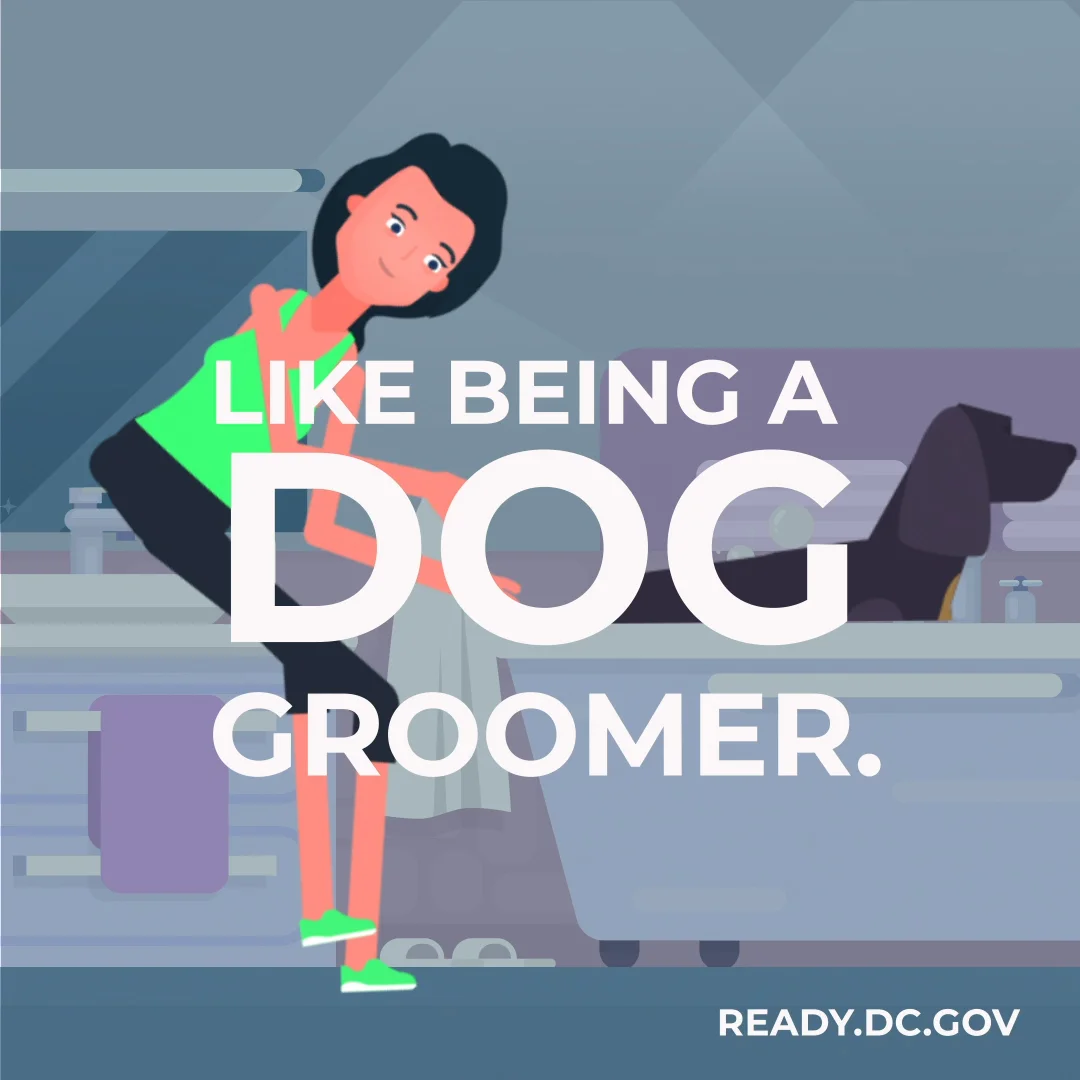 DC HSEMA Instagram Video 'Groomer' FINAL on Vimeo