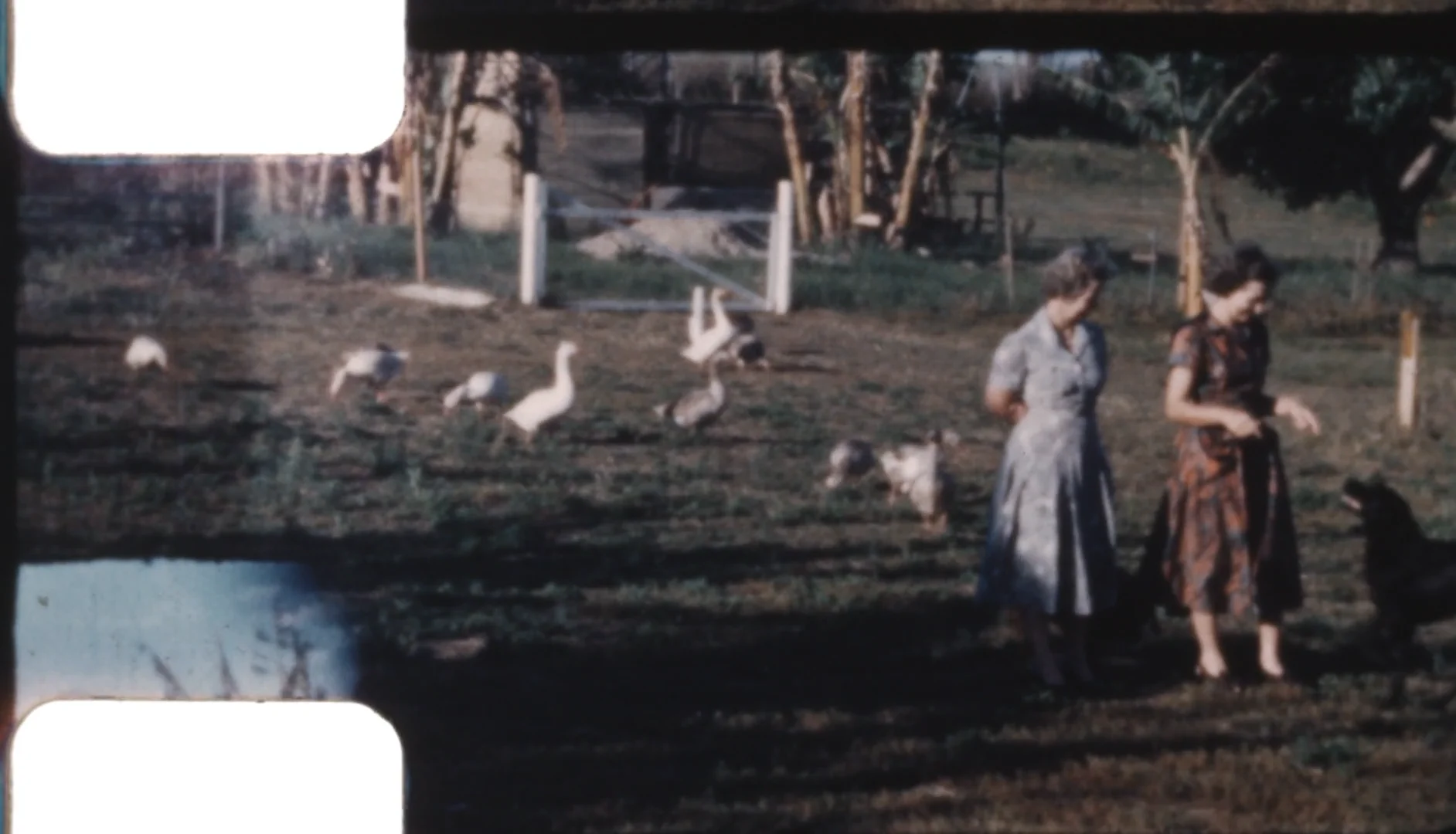 Henry William Endres Home Movies: Movie 3 on Vimeo
