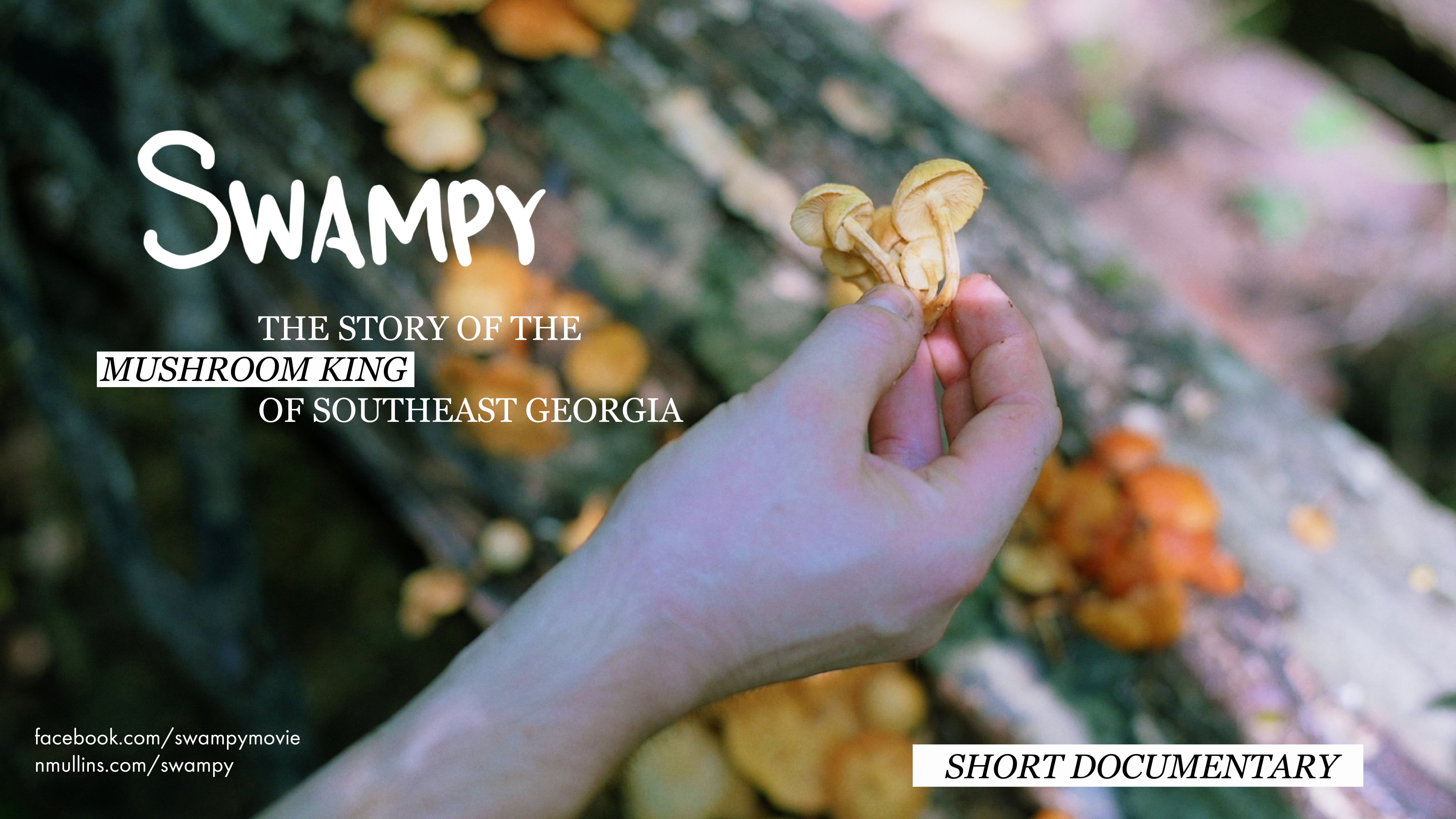 Swampy | Documentary on Vimeo