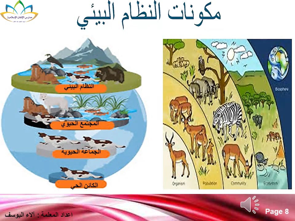 مكونات النظام البيئي.mp4 on Vimeo