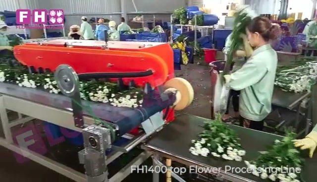 FlowerHands | Flower Processing on Vimeo
