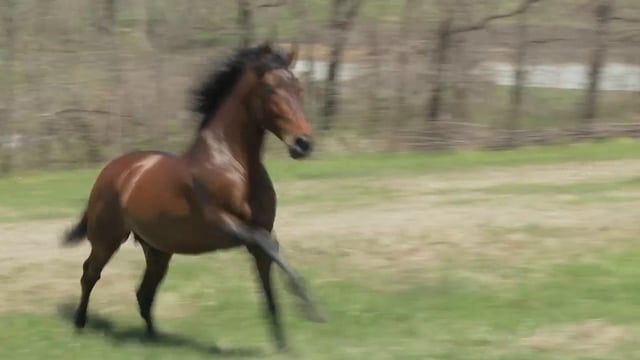 Lazaro field test on Vimeo