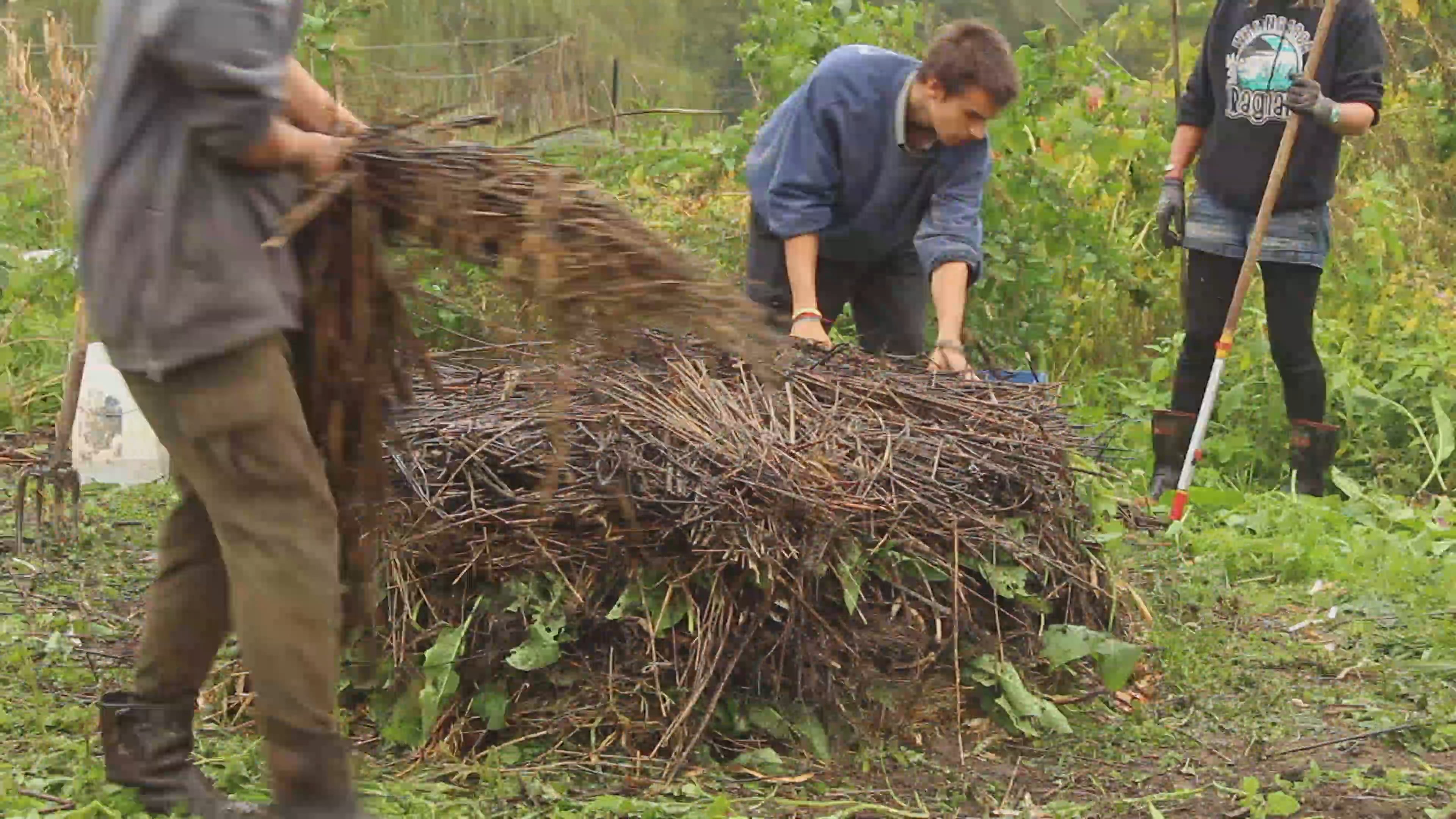 Making Great Compost - Trailer - Growing Great Compost on Vimeo