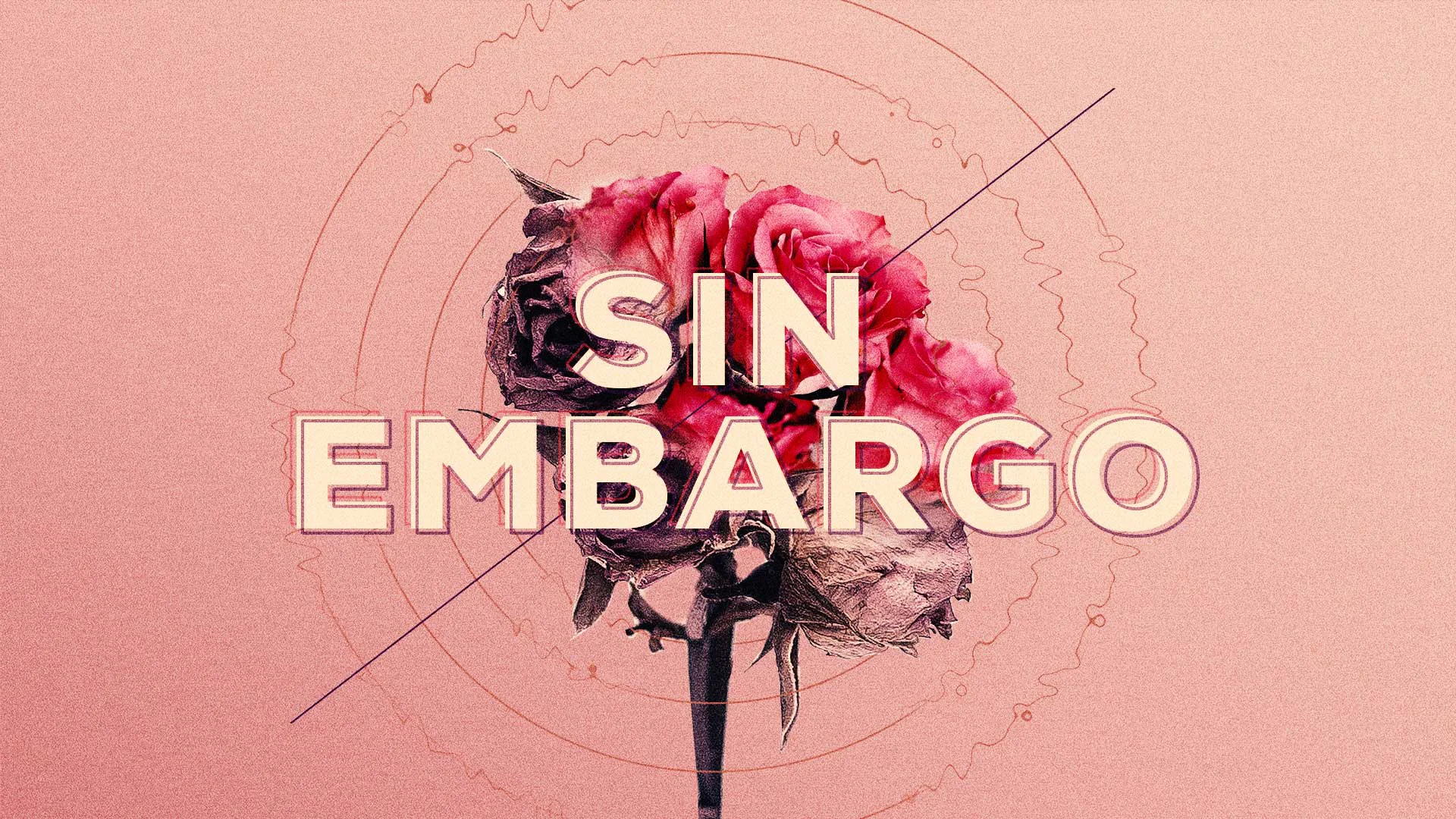 Español - Sin Embargo: Dichosos Los Mansos on Vimeo