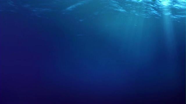 BBC Eden Channel - 'Underwater' Ident on Vimeo