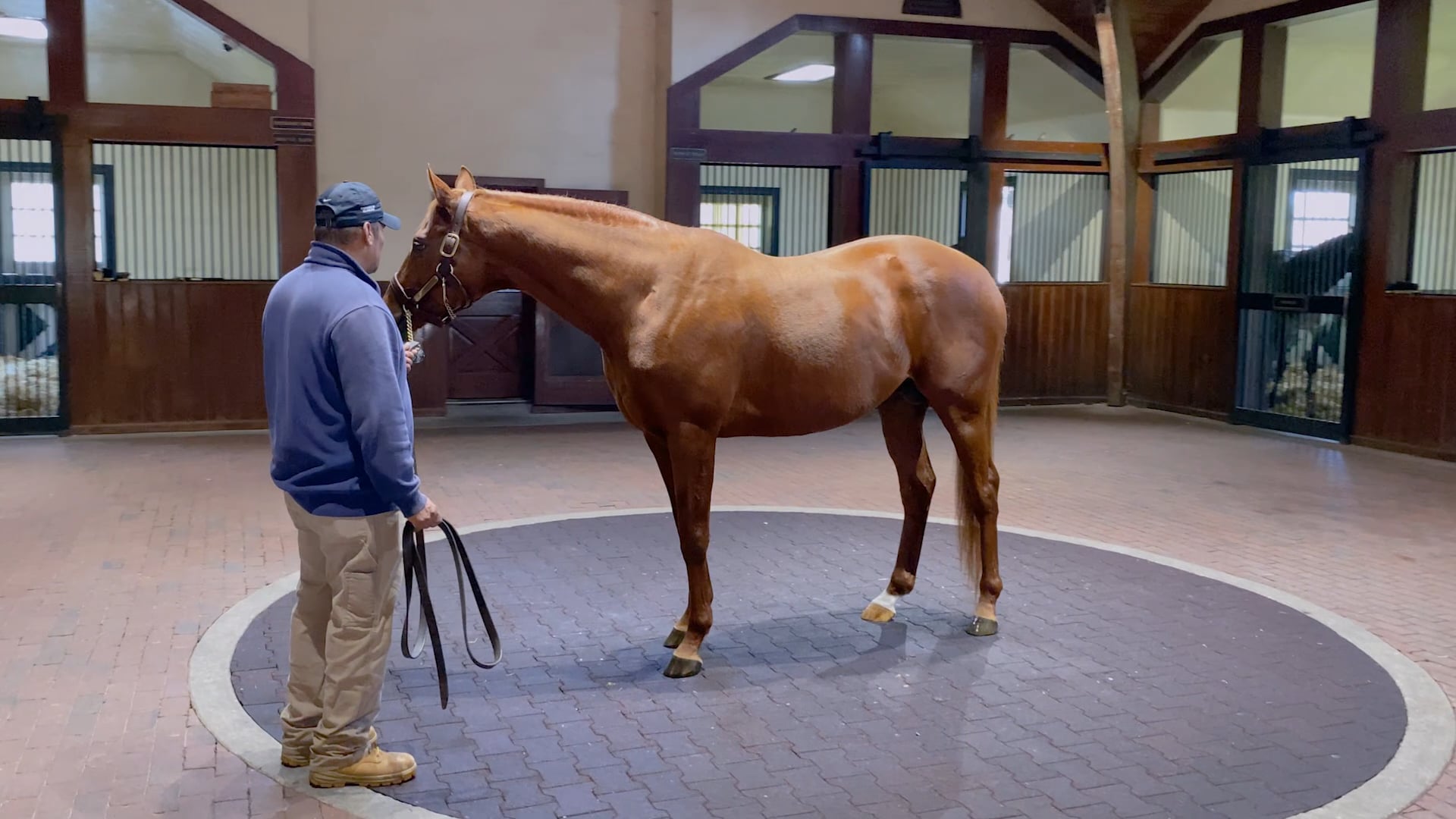 Gun Runner - Three Chimneys Farm