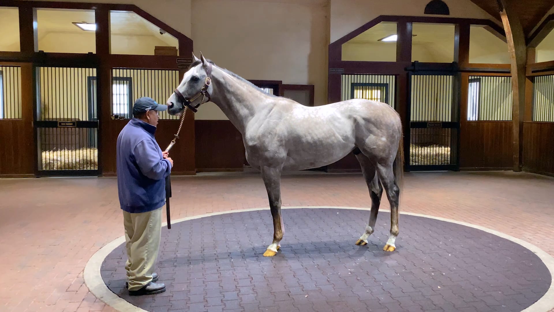 Volatile - Three Chimneys Farm