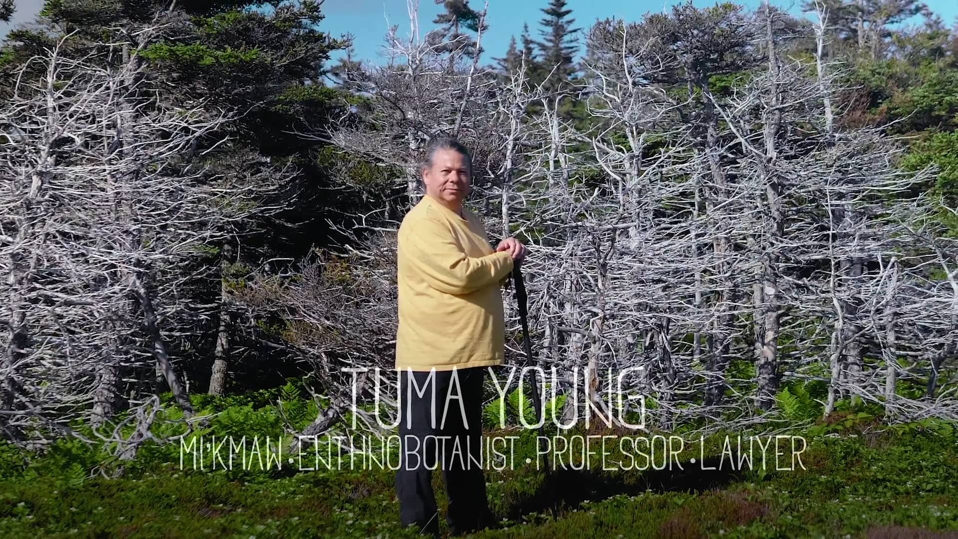Mi'kmaq History Month: Tuma Young - Traditional Medicines on Vimeo