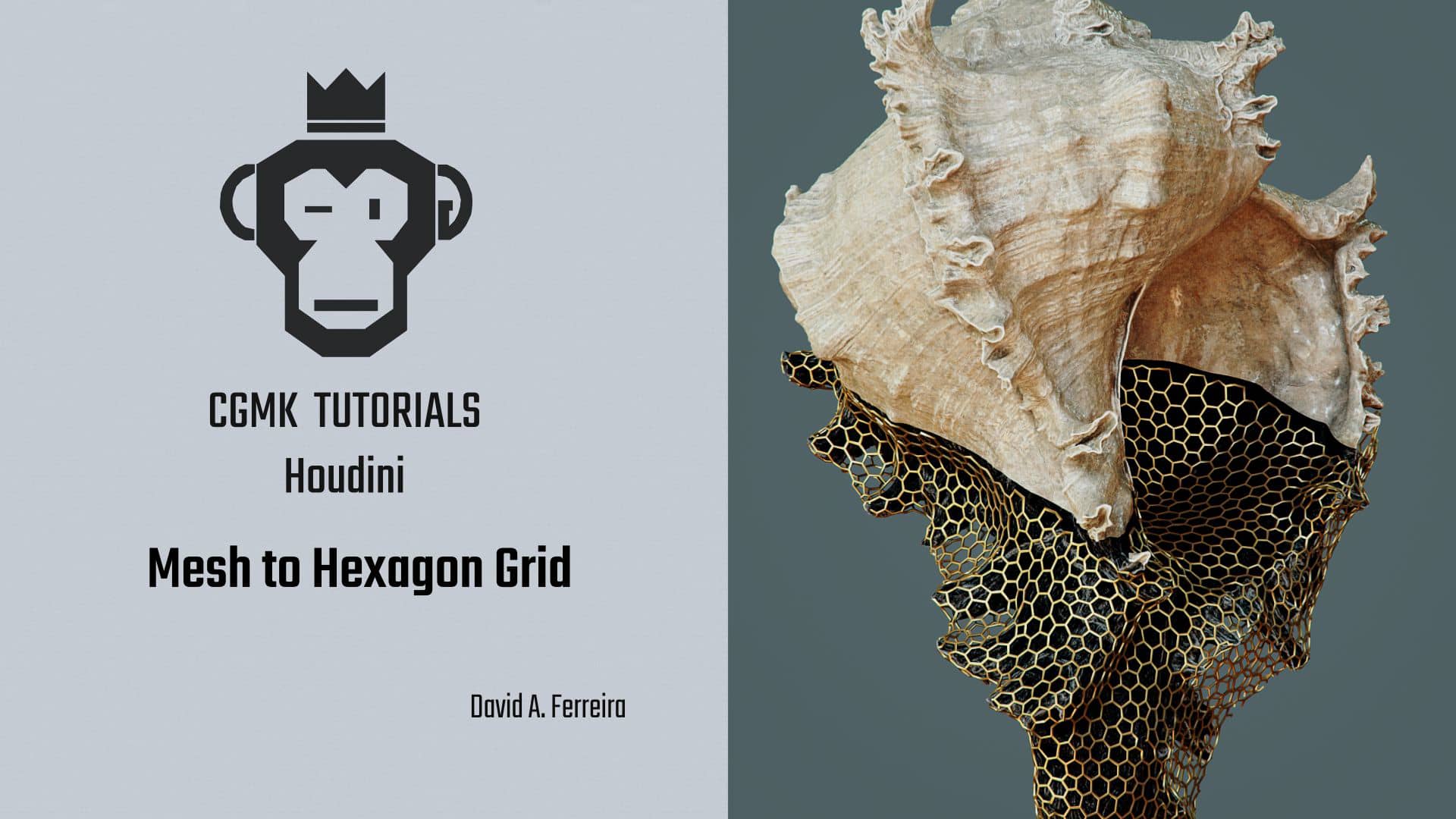 CGMK Tutorial - Mesh to Hexagon Grid (with HIP file) on Vimeo