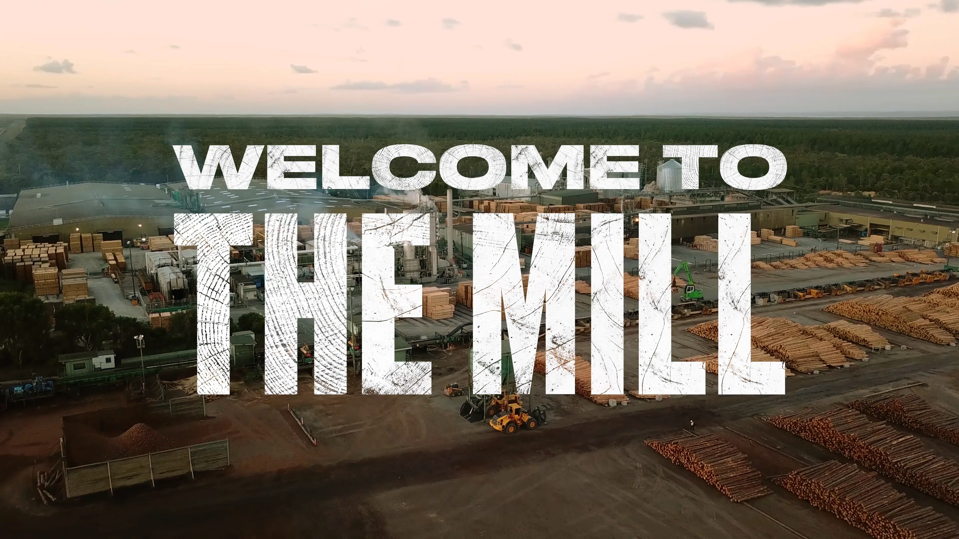 Hyne Timber - Tuan Mill Tour