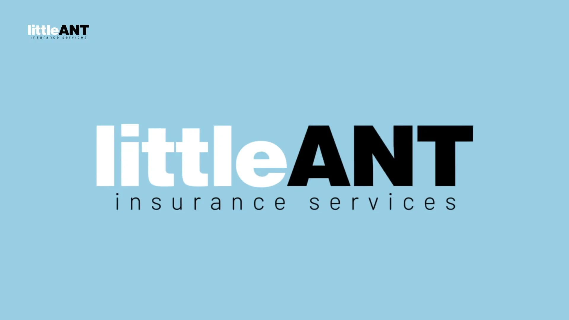 Little Ant Insurance Services on Vimeo