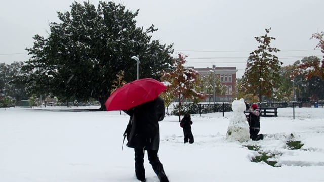 Snow, Landscape, People. Free Stock Video - Pixabay