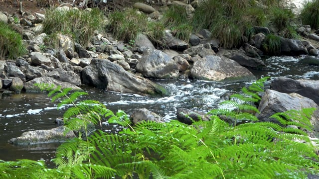 River, Stones, Water. Free Stock Video - Pixabay