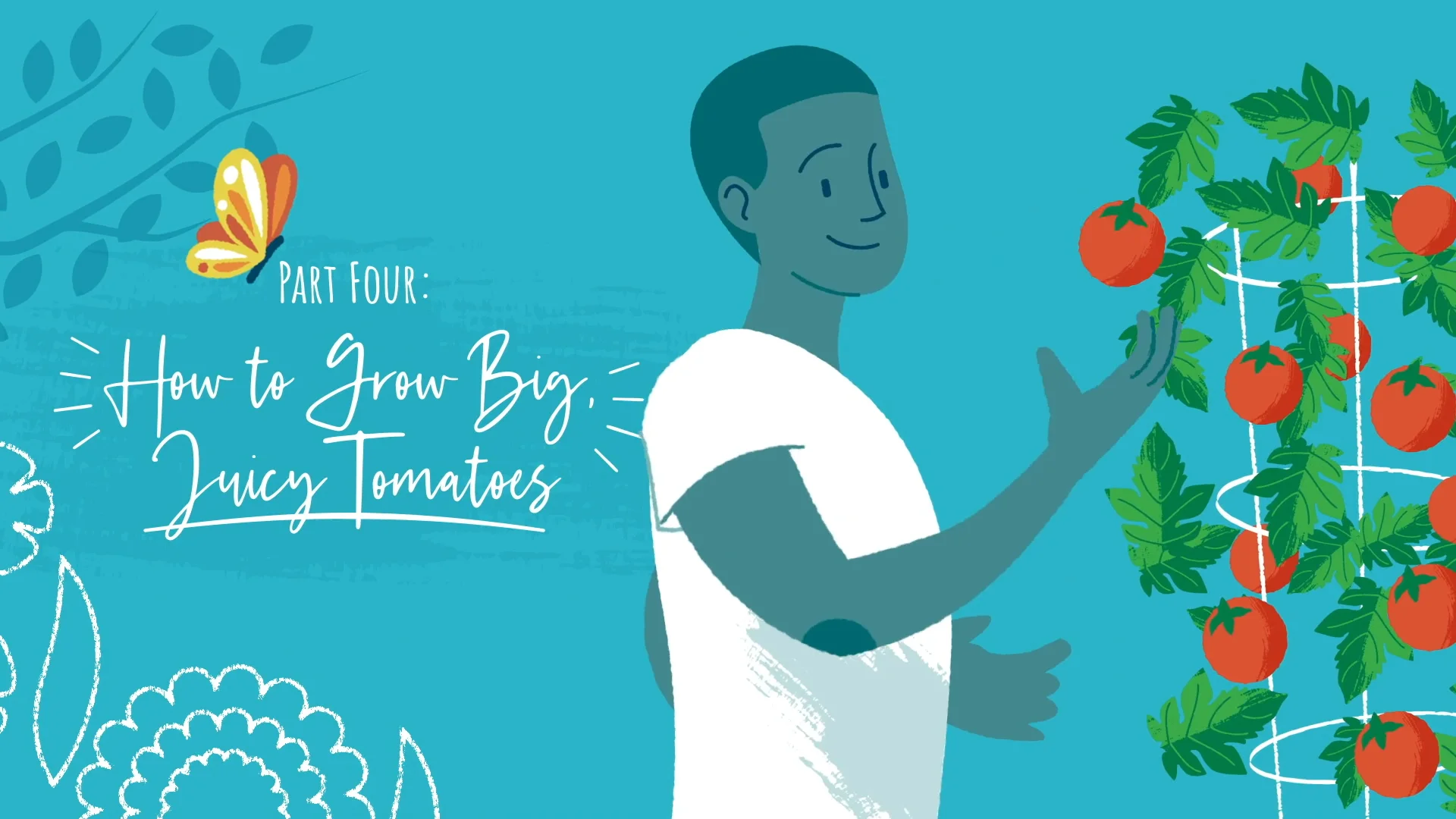 How to Grow Big, Juicy Tomatoes (Miraculous Gardening)