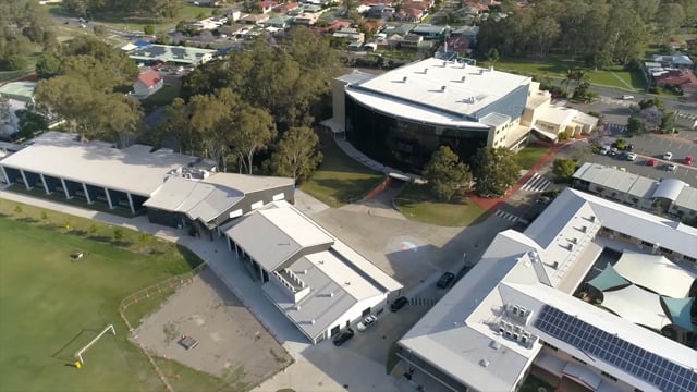 Mueller Videos – Mueller College