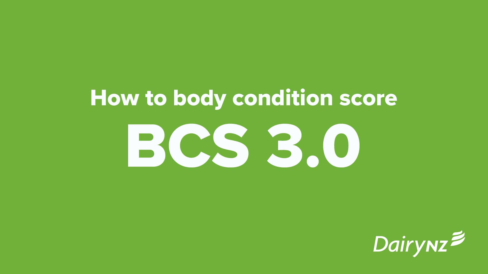Body Condition Scoring - BCS 3 on Vimeo