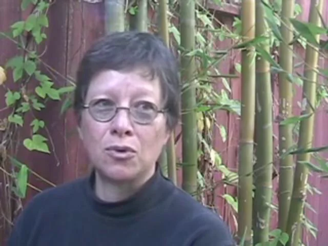 Anna Tsing on the Concept of Human Nature