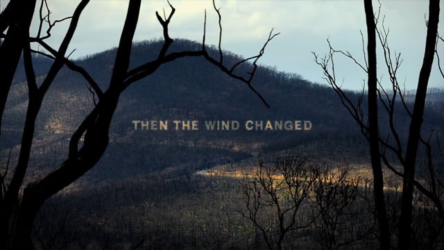 Celeste Geer Director on Vimeo