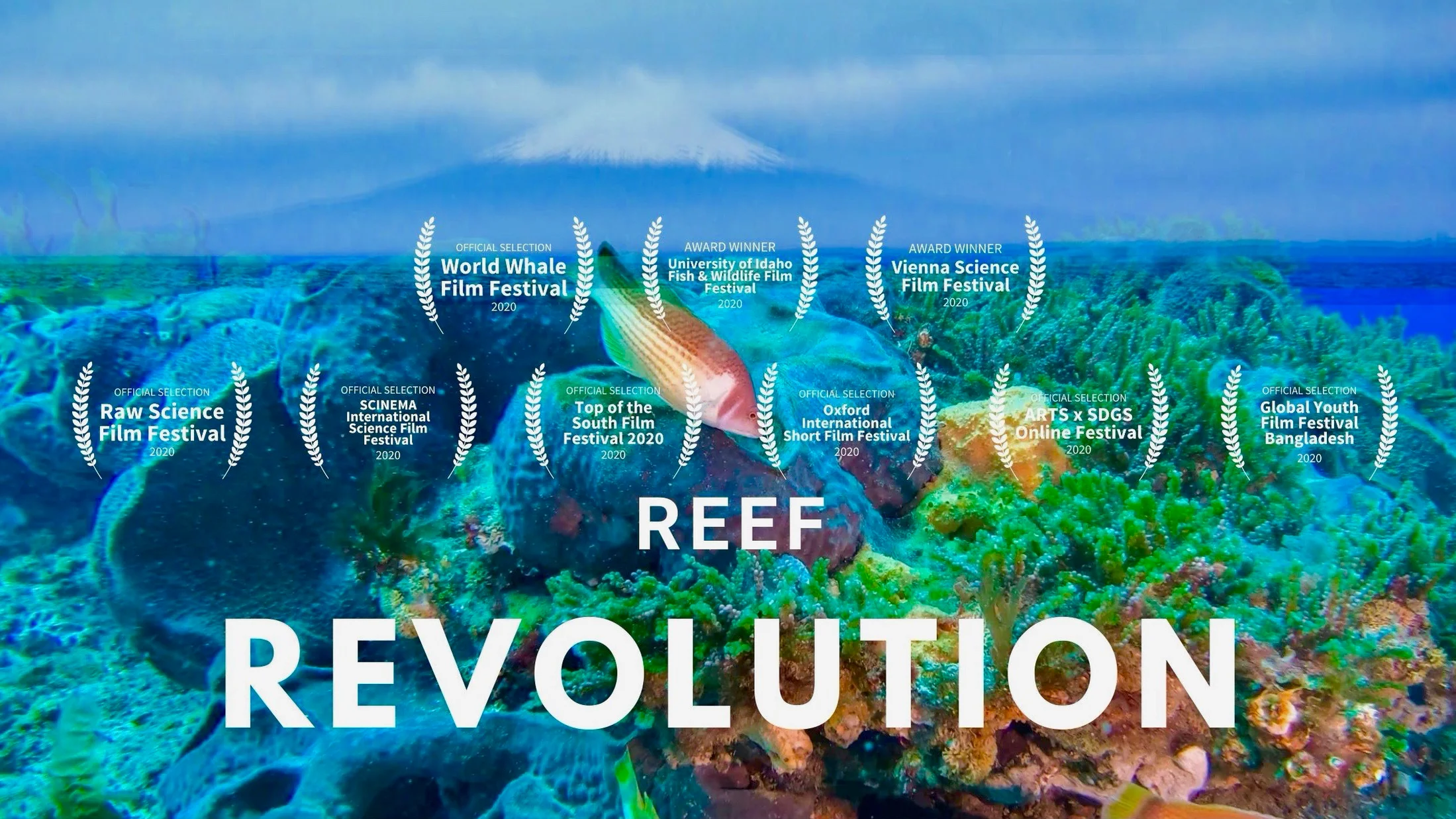 Reef Revolution on Vimeo