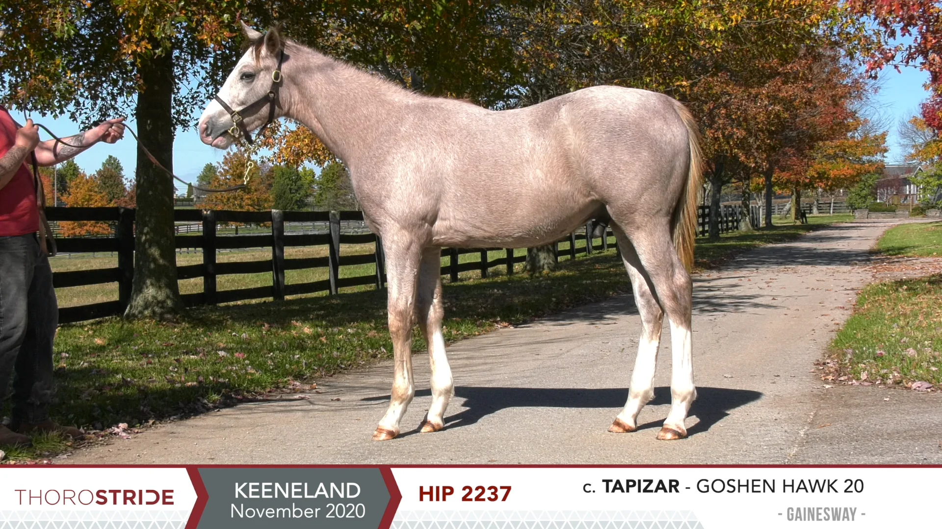 KEENOV20_2237_Goshen Hawk 20 on Vimeo