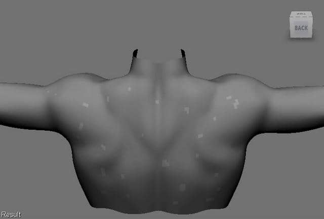 Back Muscle test on Vimeo