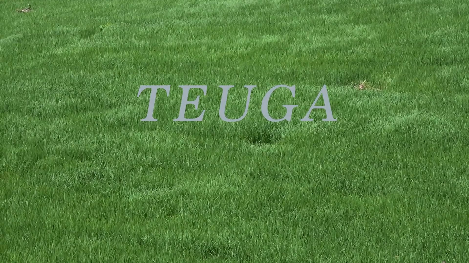 TEUGA TRAILER (CC: English/Japanese) on Vimeo
