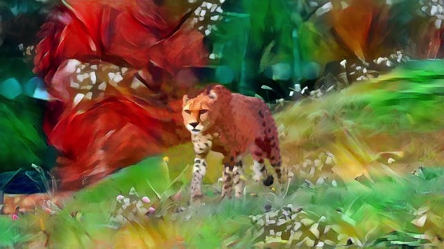 Leopardo Colores Animal - Free video on Pixabay - Pixabay