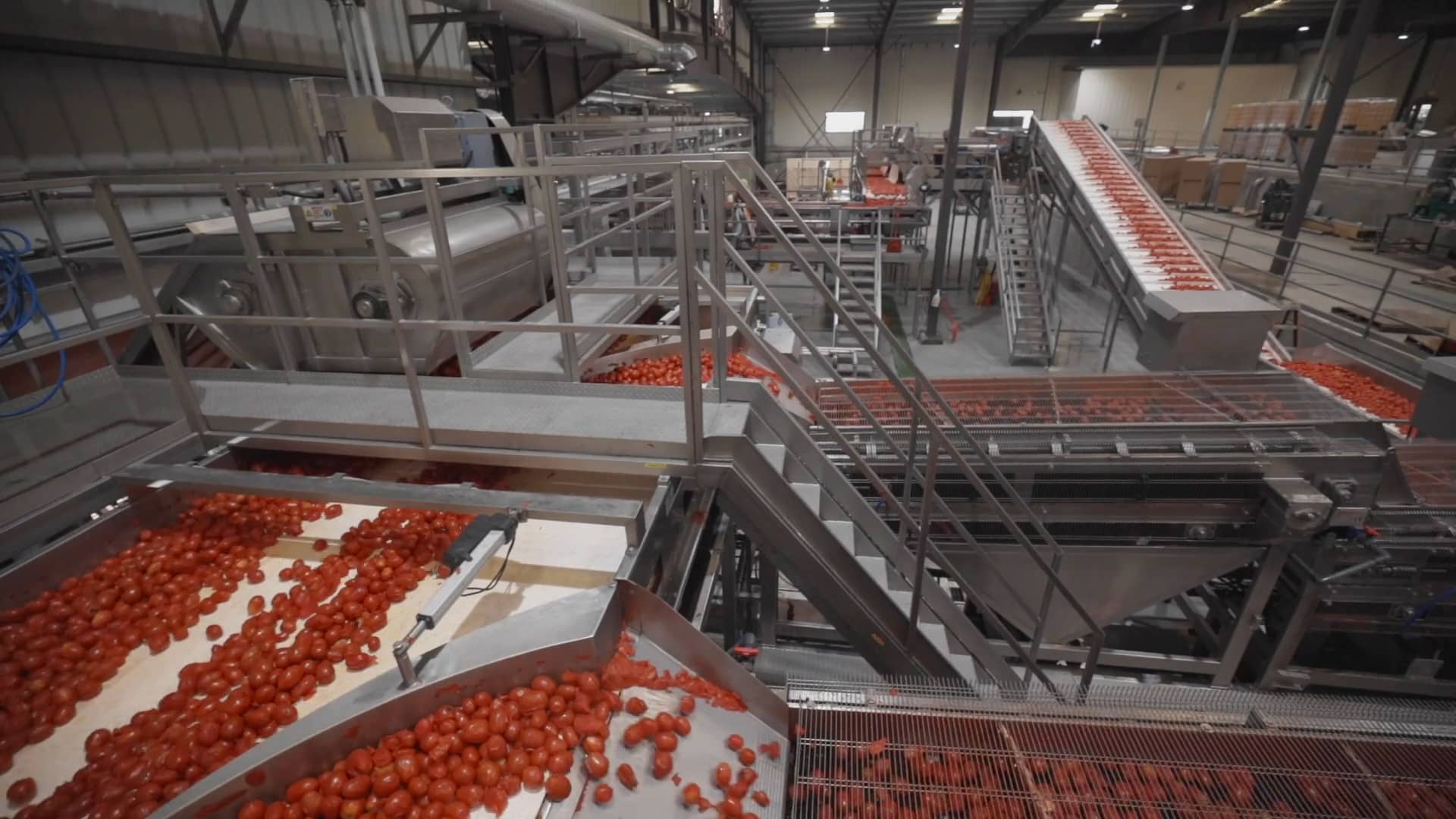 The Morning Star Packing Company - Vertically Integration, Quality, and ...