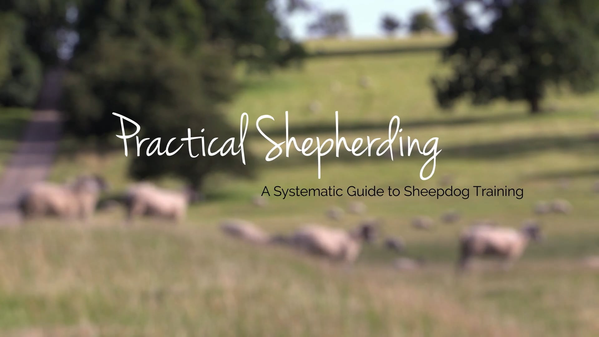 Watch Practical Shepherding Online | Vimeo On Demand on Vimeo