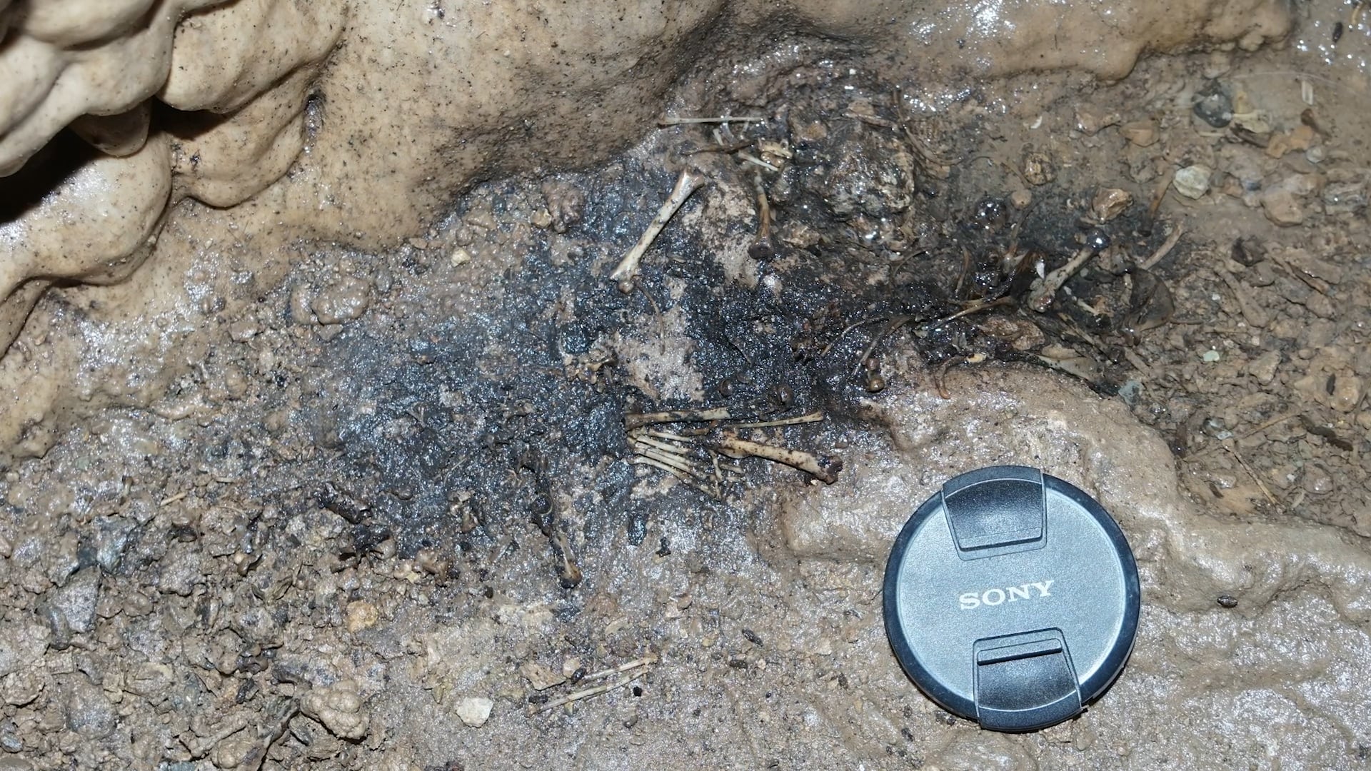 Behind the Scenes: Value of Cave Remains on Vimeo