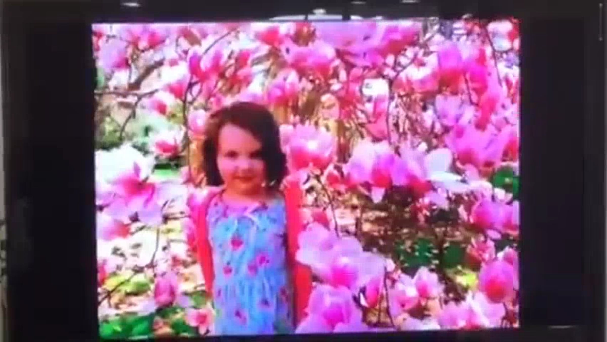 PBS Kids Channel Program Break (11/14/2020)