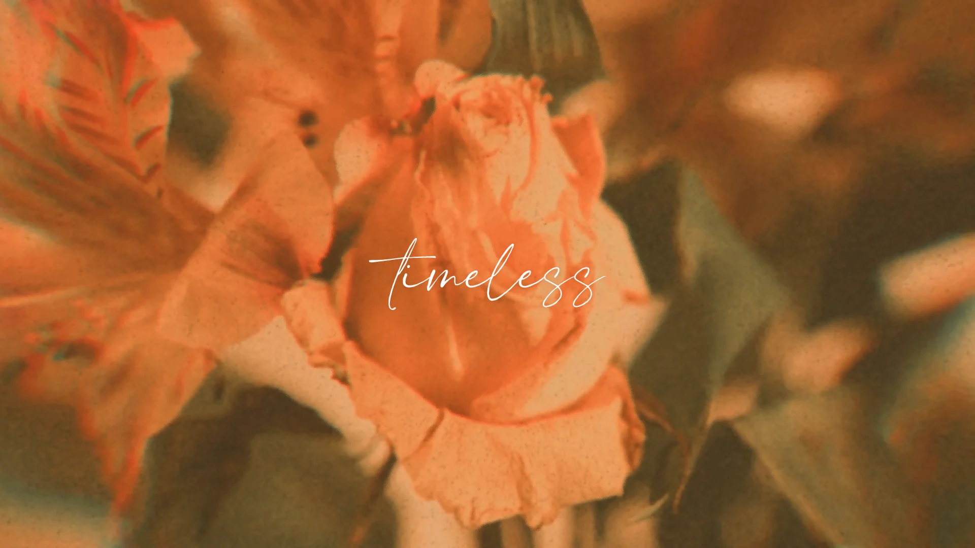 Timeless -Title Sequence for The Hours on Vimeo