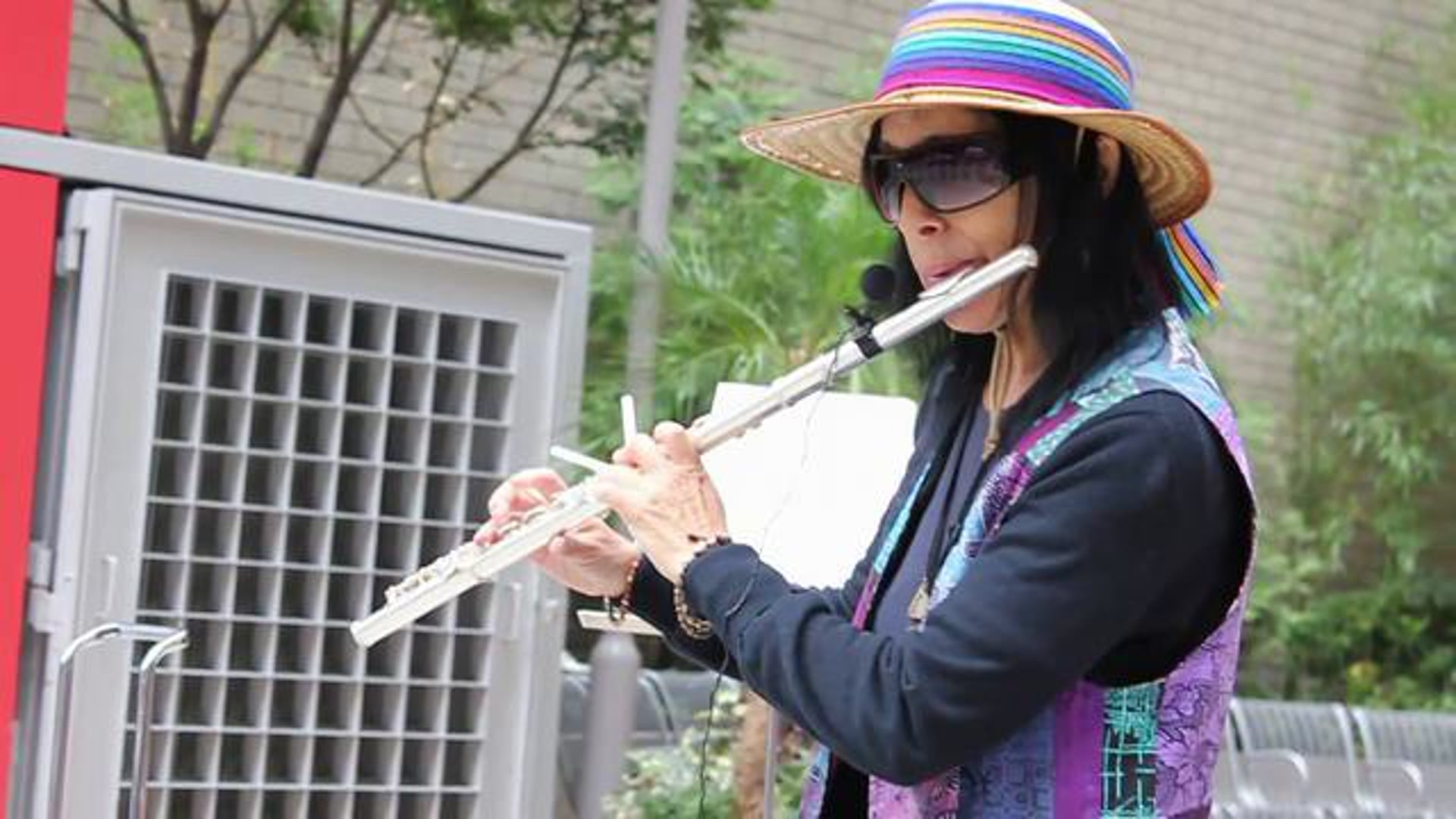 Hire Suki Rae - Classical Duo in New York City, New York