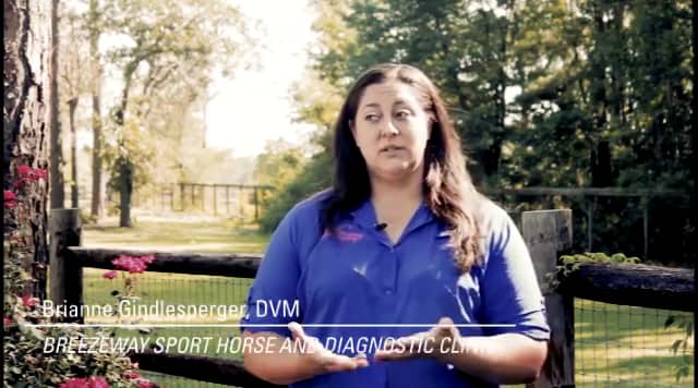 Assure Guard Gold and Fecal Water Syndrome on Vimeo